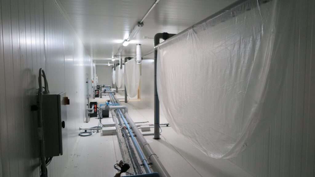 Solutions - Insect Treatment
